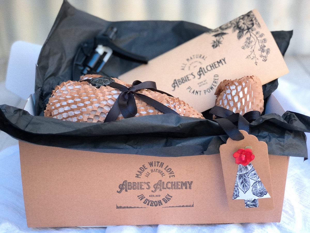 The Alchemy Starter Kit: TRANSFORM cleaning into a cleansing ritual (R ...